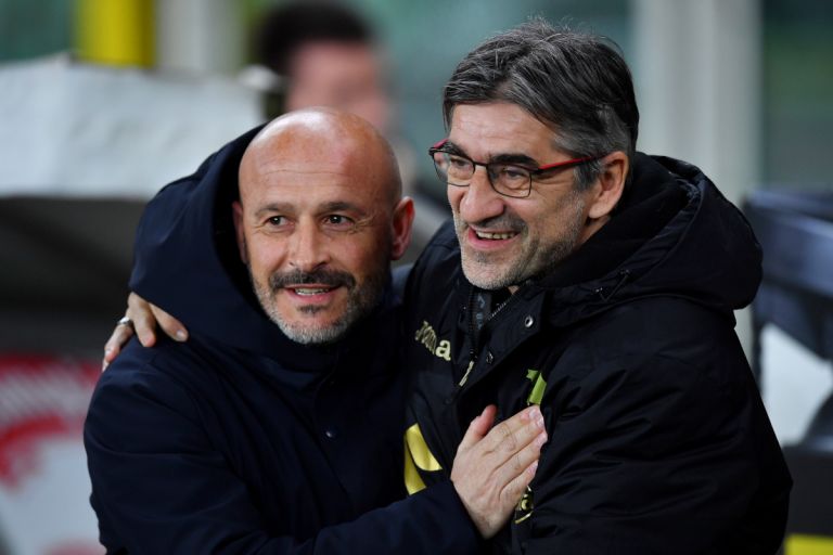 Juric and Italiano make up on live television after ugly row