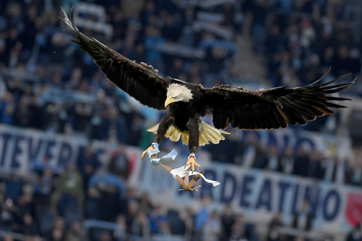Serie A | Lazio 0-0 Cremonese: Stalemate at the Stadio Olimpico